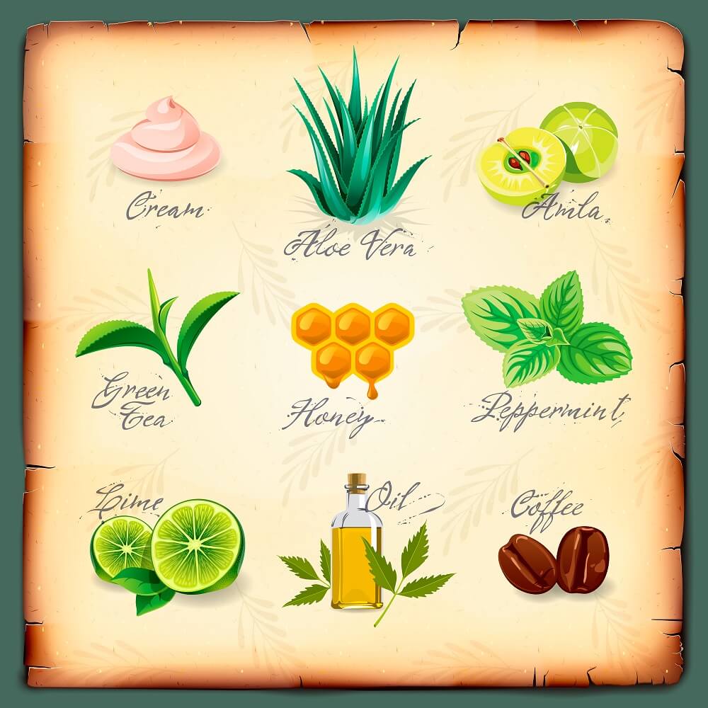 Ingredients with Great Benefits to Your Skin - Di'MYOOR
